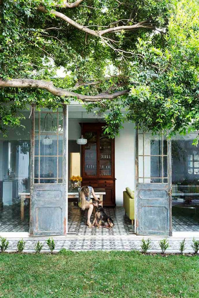 Southern Garden Ideas - Five Essential Plants - Thou Swell